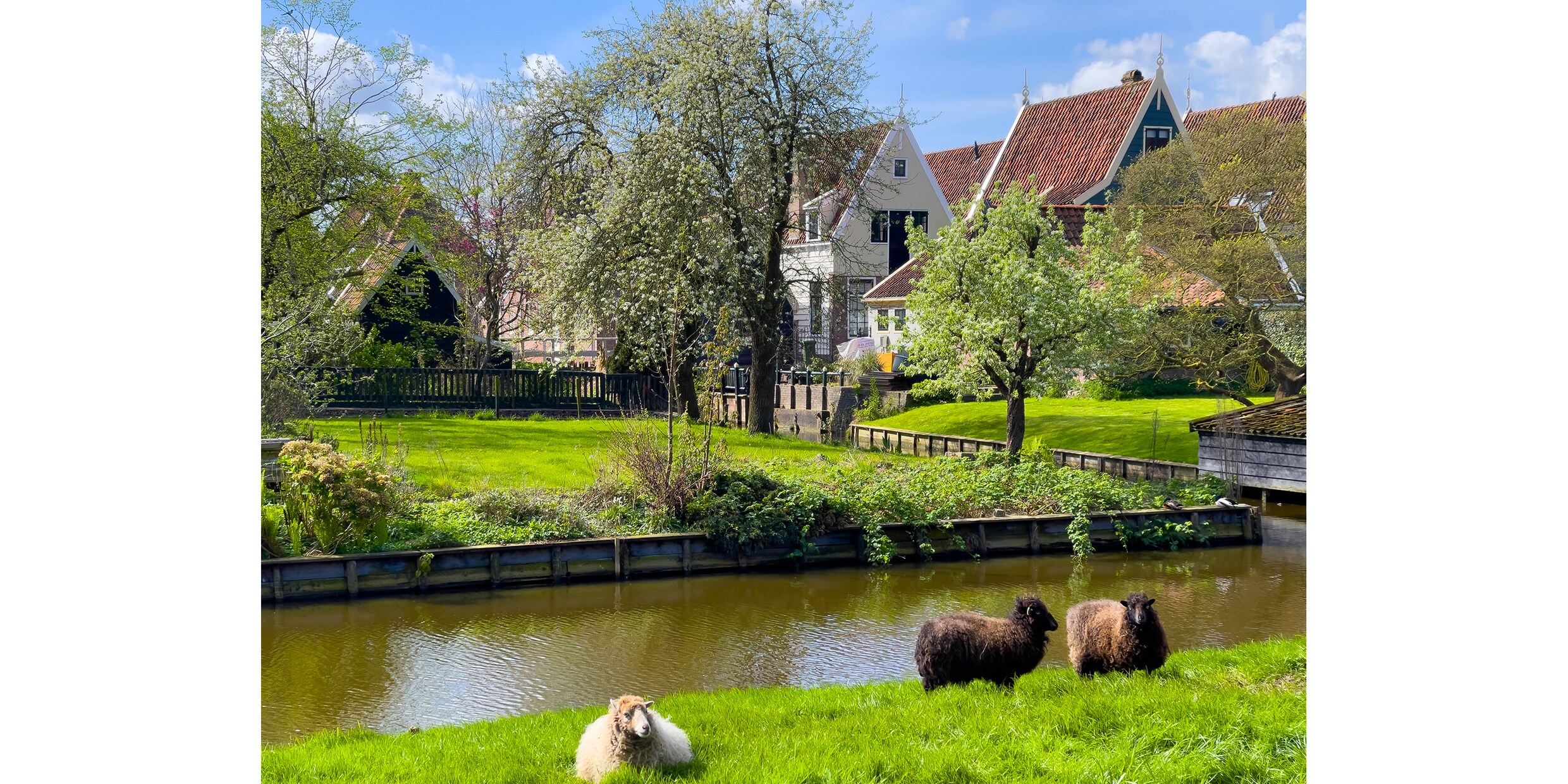 (De) Rijp voor de lente: vaar het voorjaar tegemoet met een ...