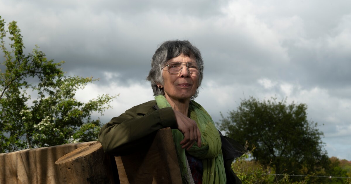 Spirituele ervaringen in het Nederlandse bos: ‘Sommigen voelen de aanwezigheid van kabouters ...