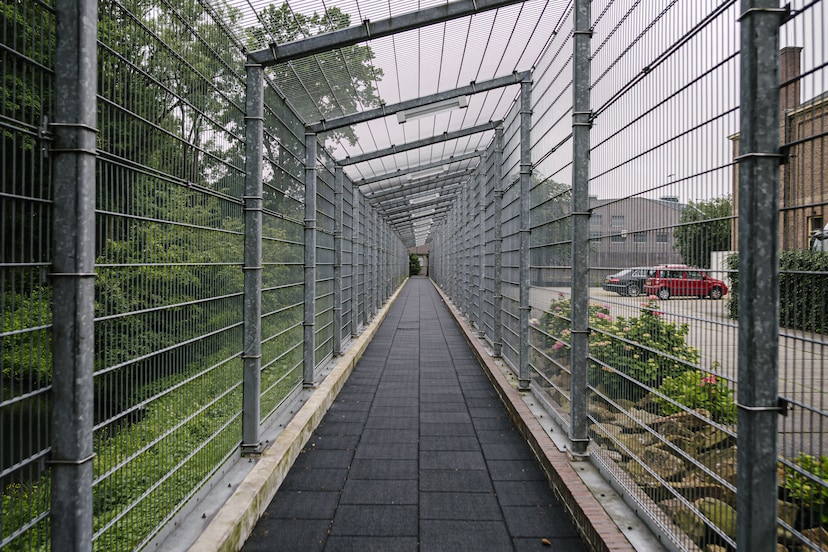 Ploumen: Gebrekkige zorg in vrouwengevangenissen is een structureel ...