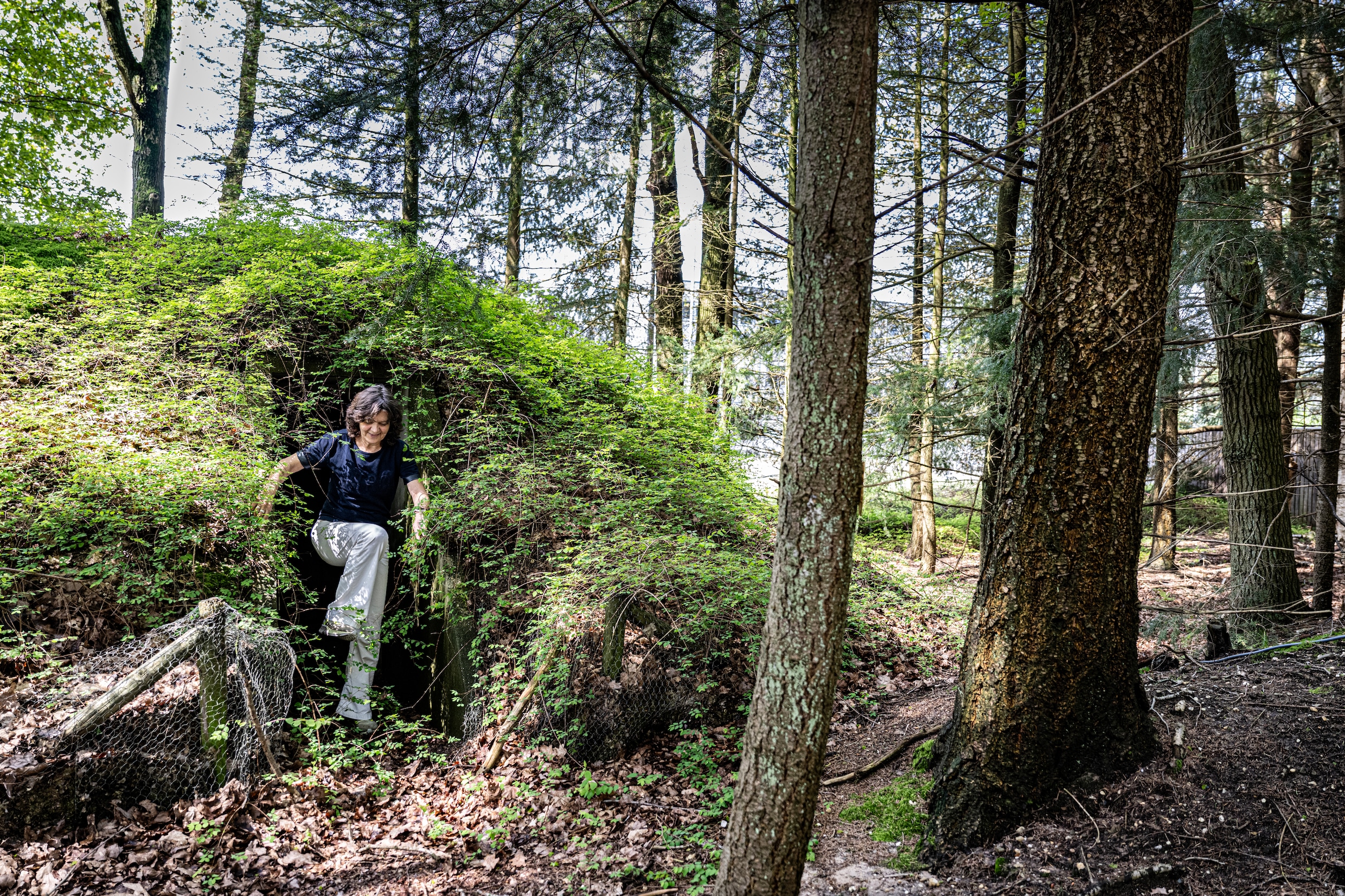 Op Kamp van Zeist lost de natuur het Amerikaanse leger af | Trouw
