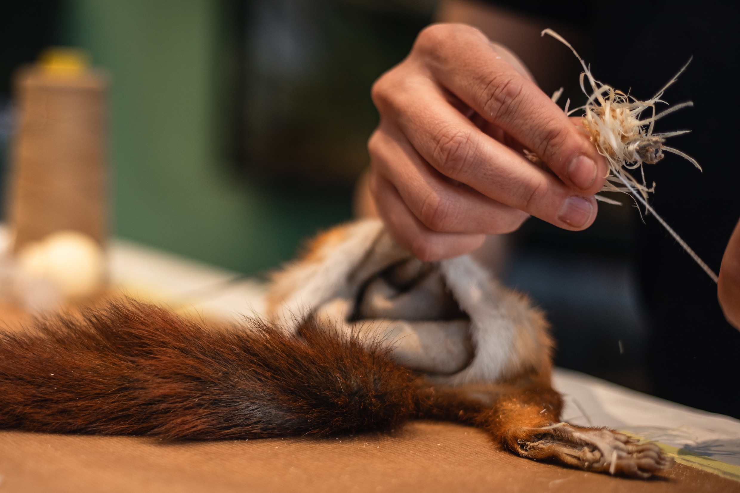 De taxidermist maakt mensen blij, want van een opgezet huisdier hoef je ...