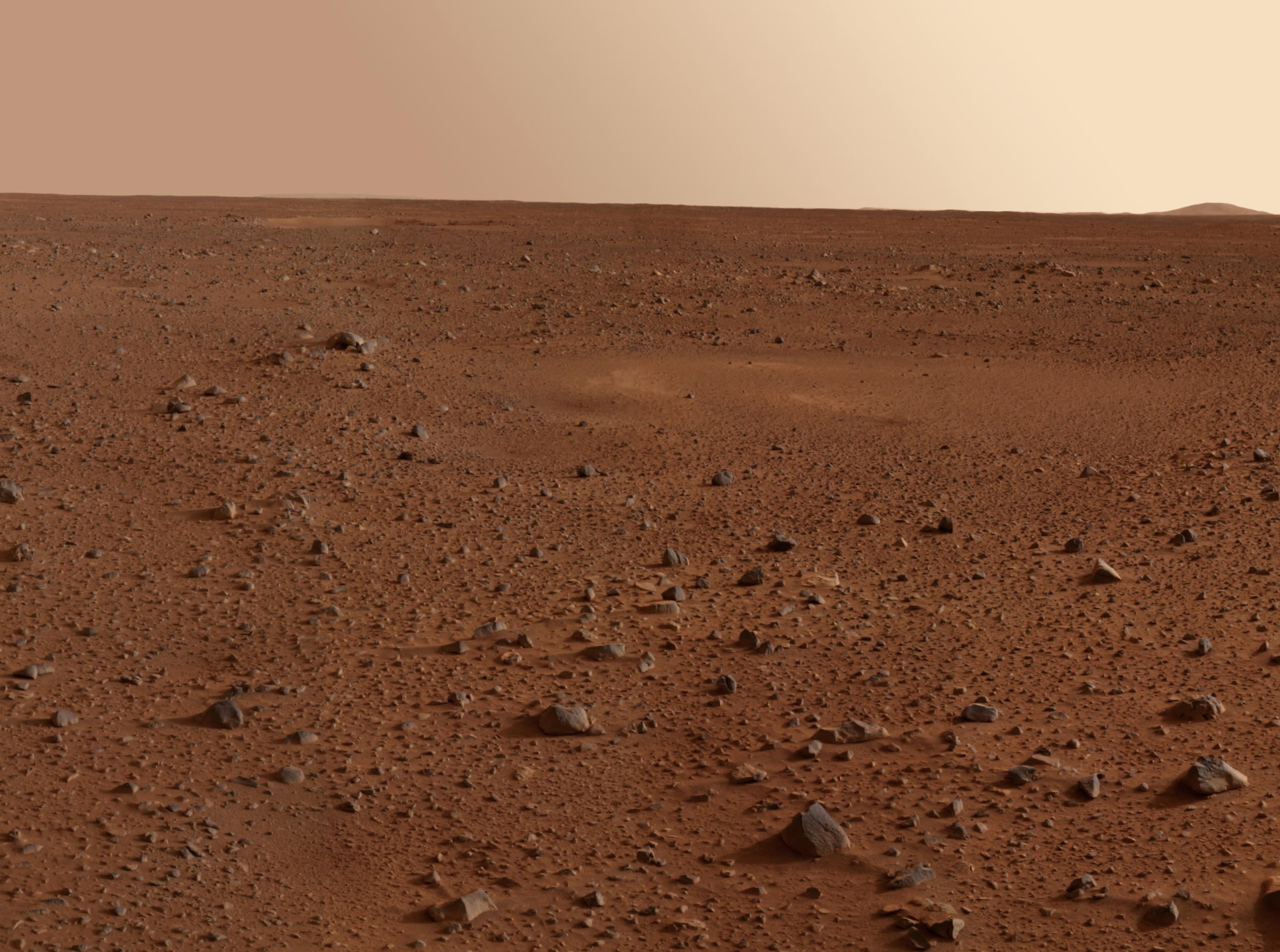 Groente op Mars kan het beste door elkaar staan, met wat menselijke ...