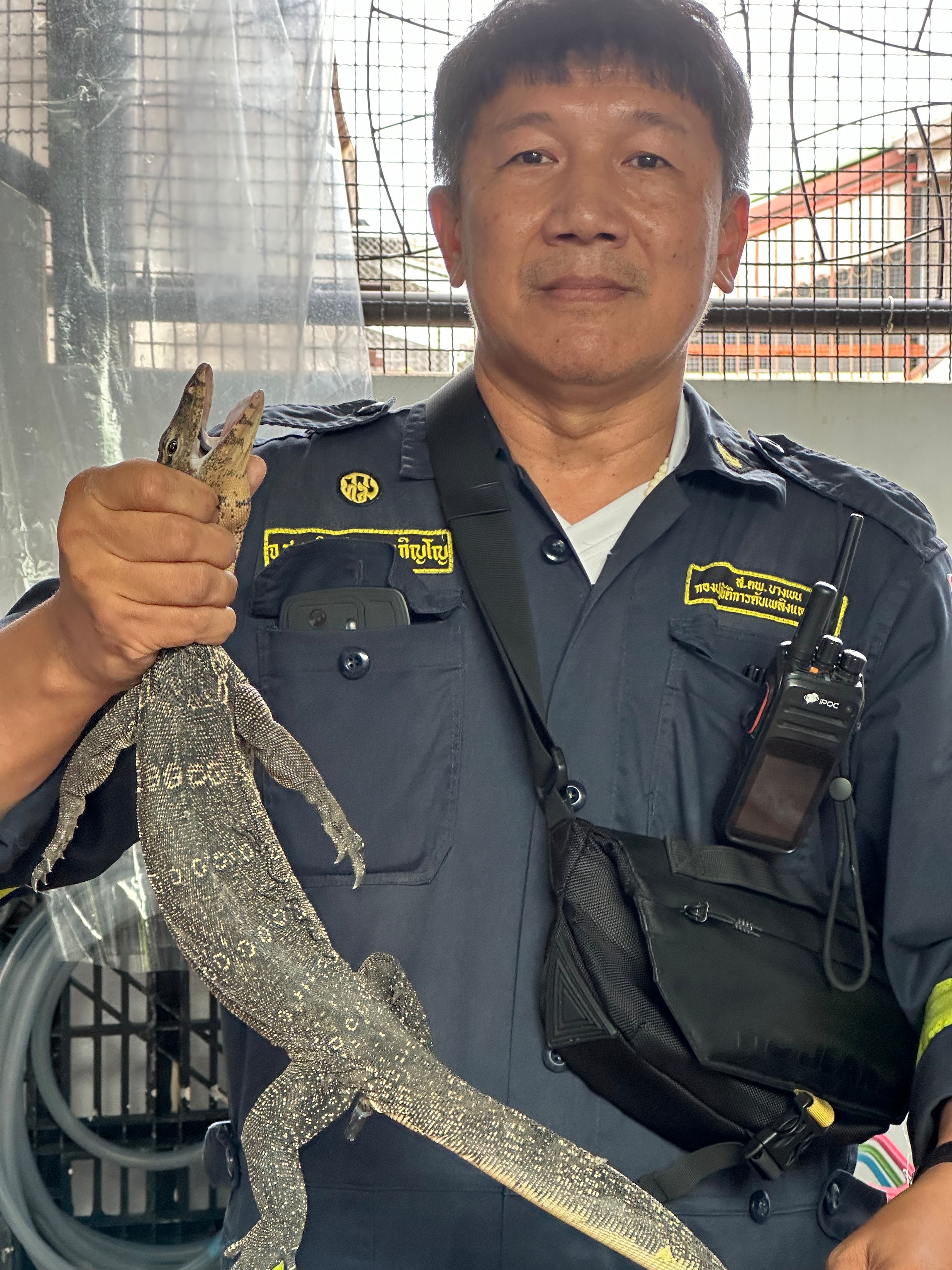 Brandweerman Pinyo vangt in Bangkok dagelijks cobra’s en pythons in ...