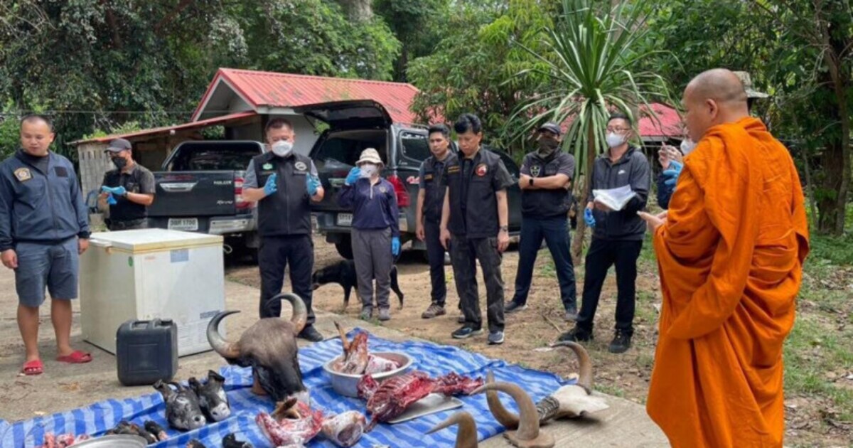 Boeddhistische monniken betrokken bij het stropen van beschermde dieren ...