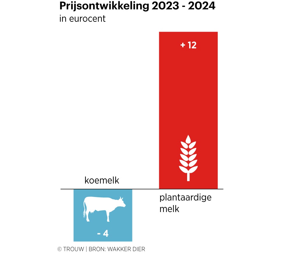 Havermelk is nu écht voor de elite: prijs gestegen terwijl die van ...