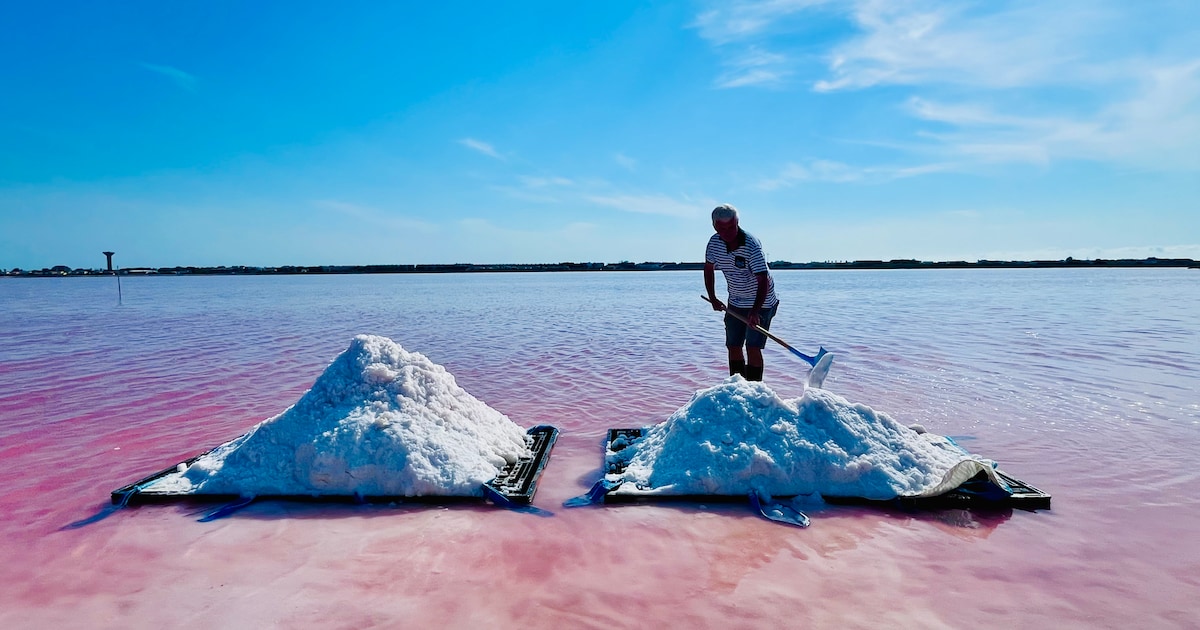 Een wereld van roze, wit en blauw: hier komt fleur de sel vandaan | Trouw