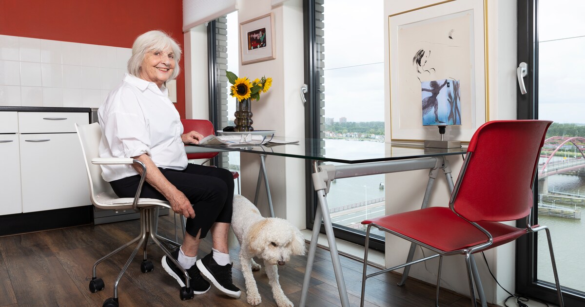Hete huizen in Nederland: ‘Ik heb het gevoel dat ik niet eens kan ...