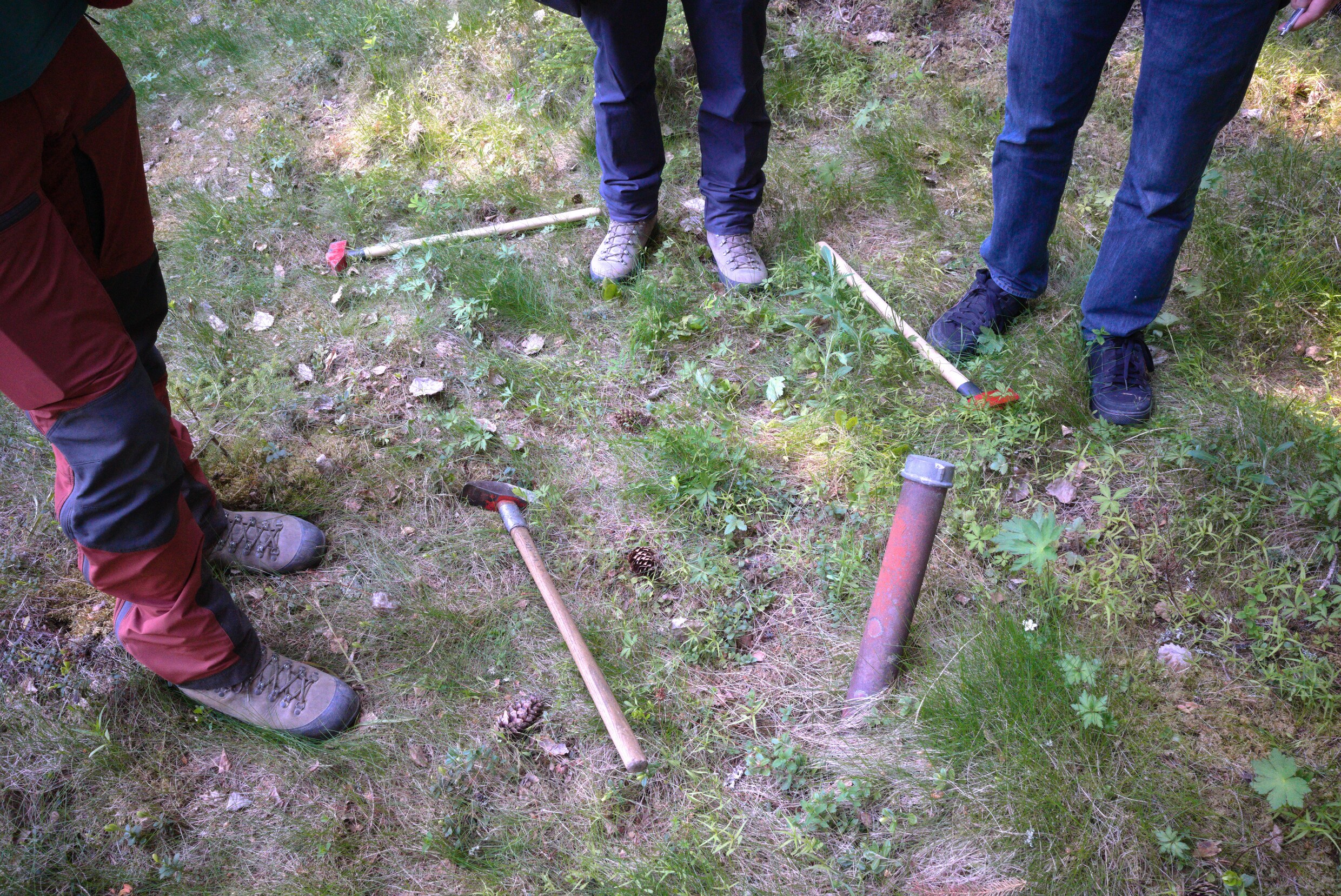 Hongerige beren en jagers: op pad met moderne schatgravers in de ...