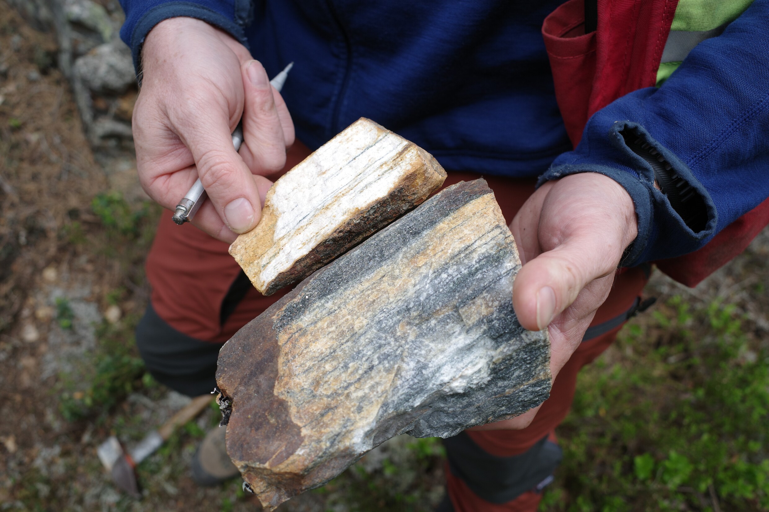 Hongerige beren en jagers: op pad met moderne schatgravers in de ...