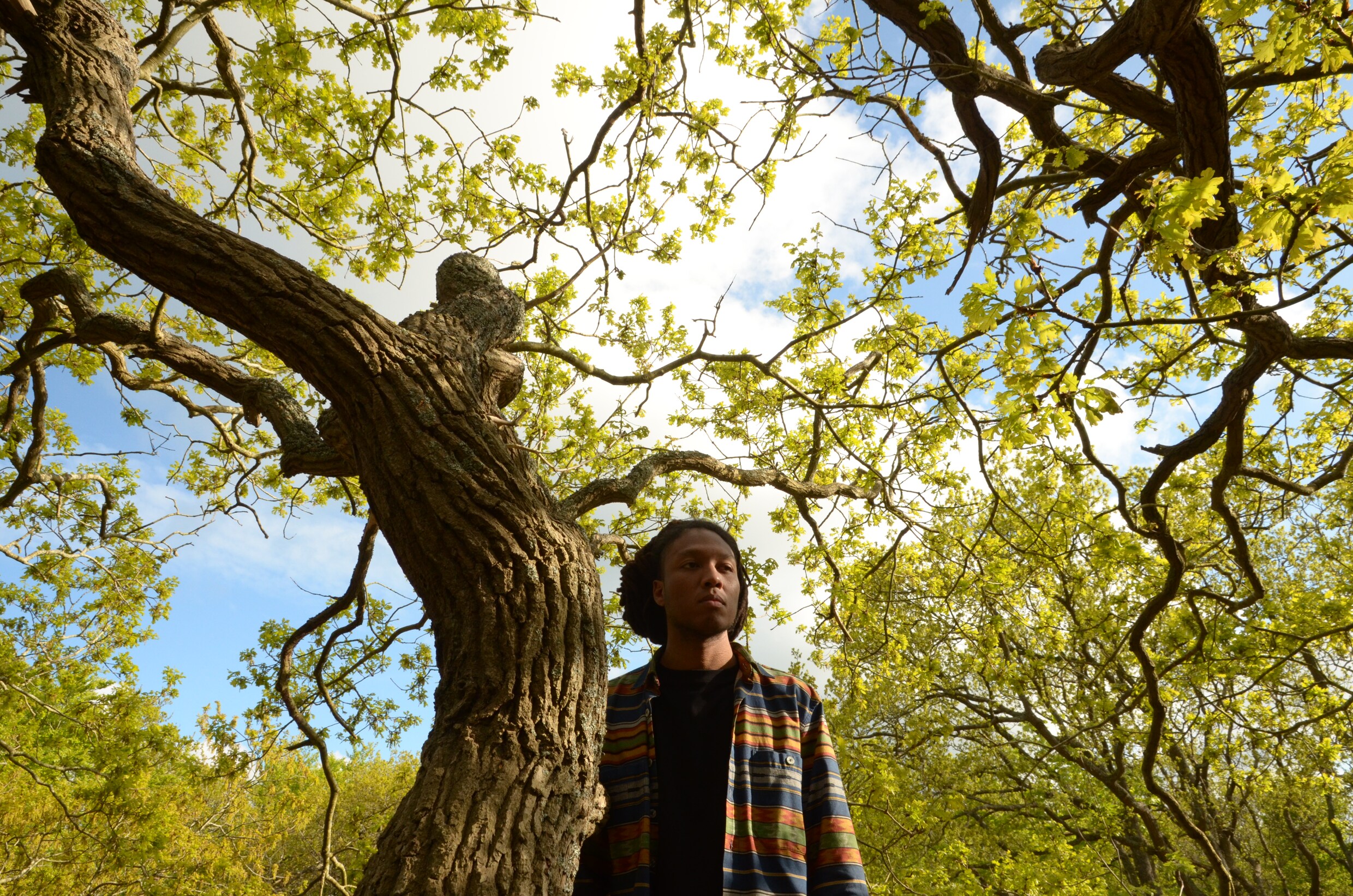 Drie jonge componisten drukken in muziek uit wat zij voor de toekomst ...