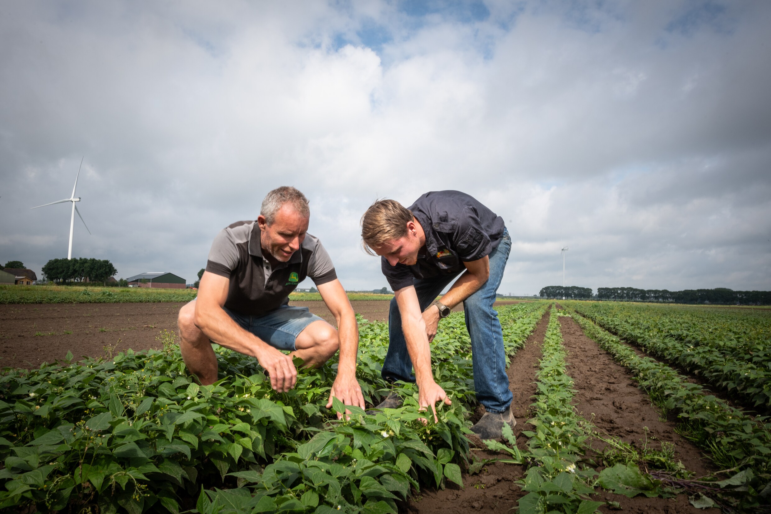 Juist deze zomervakantie kan de lokale boer wel wat steun gebruiken ...