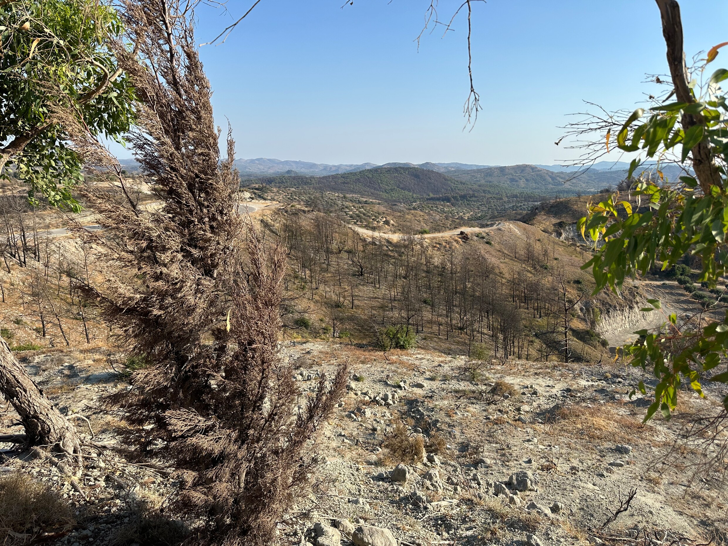 De bergen zijn nog pikzwart, maar de horeca heeft de herinneringen aan ...