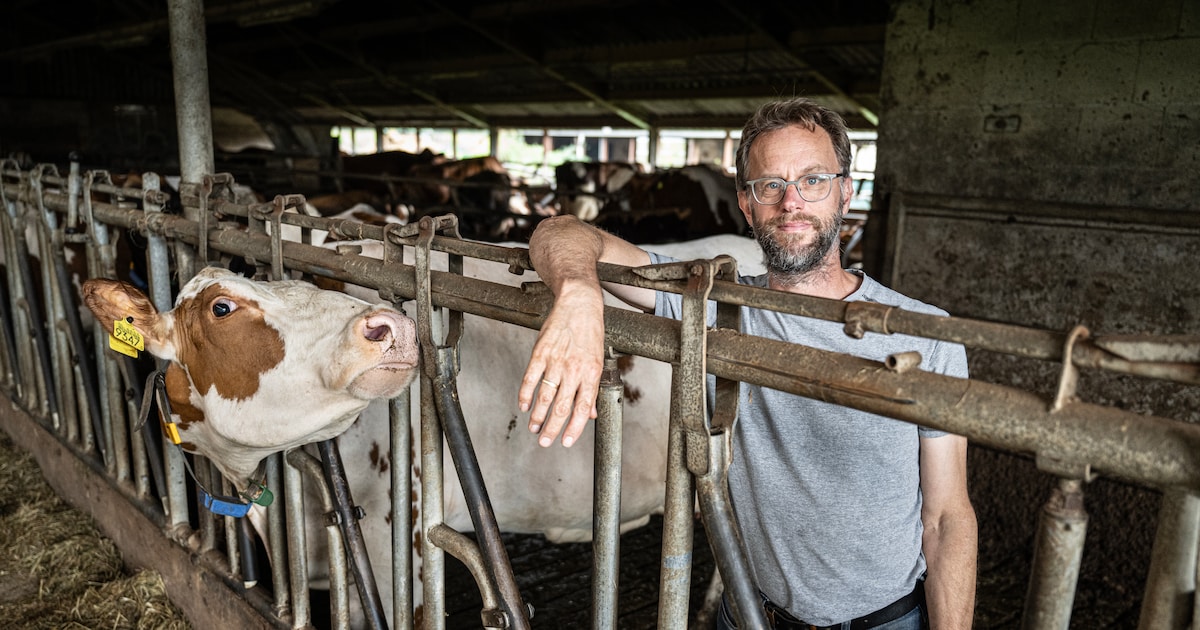 Melkveehouder Timo Burgers stopt ermee: ‘Op de bank voor de tv zou ik ...