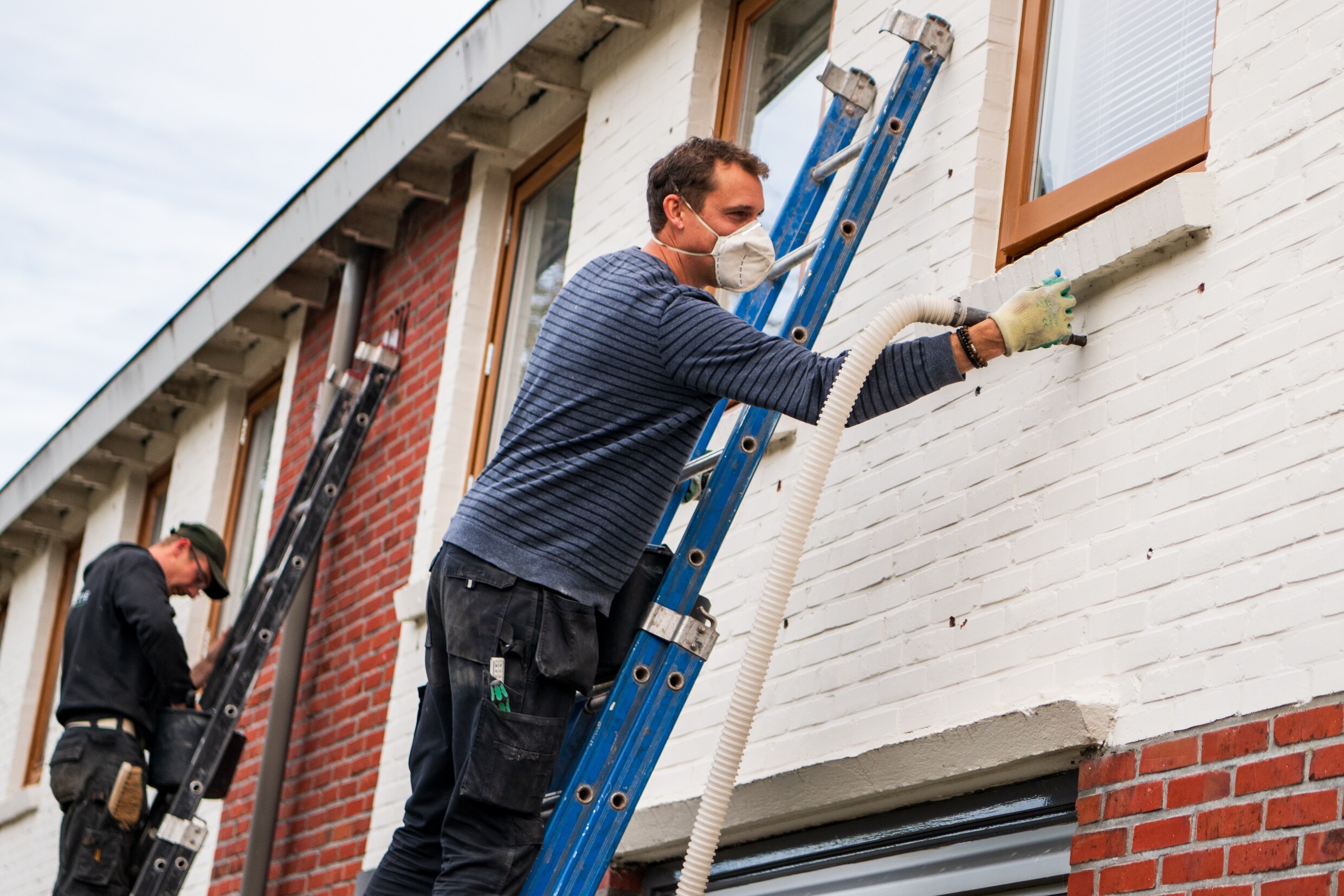 Isolatiebranche heeft niets te doen door de vleermuis. ‘Nederland gaat ...
