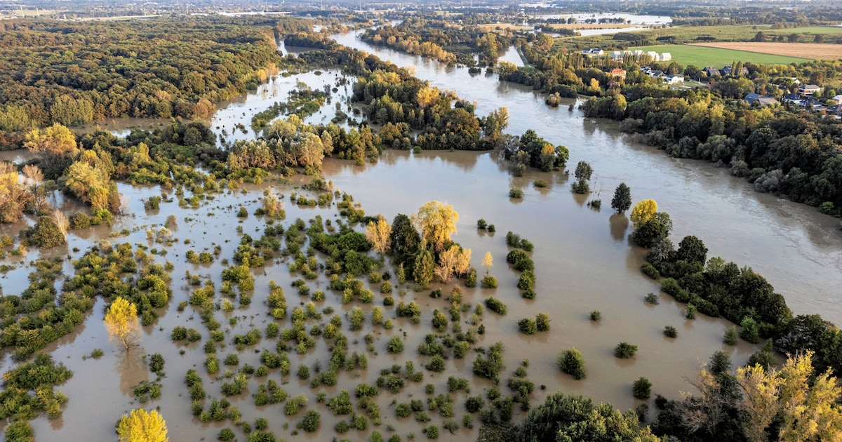 Overstromingen én droogte: klimaat treft onvoorbereid Polen | Trouw