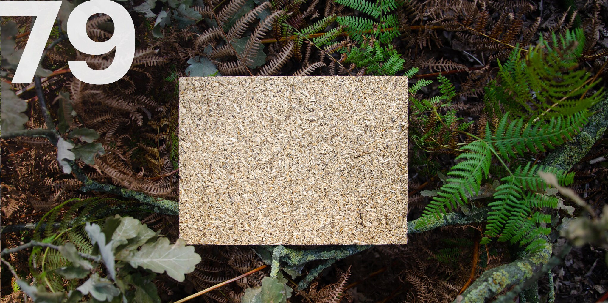 Dit is de complete Duurzame 100 van 2024 | Trouw