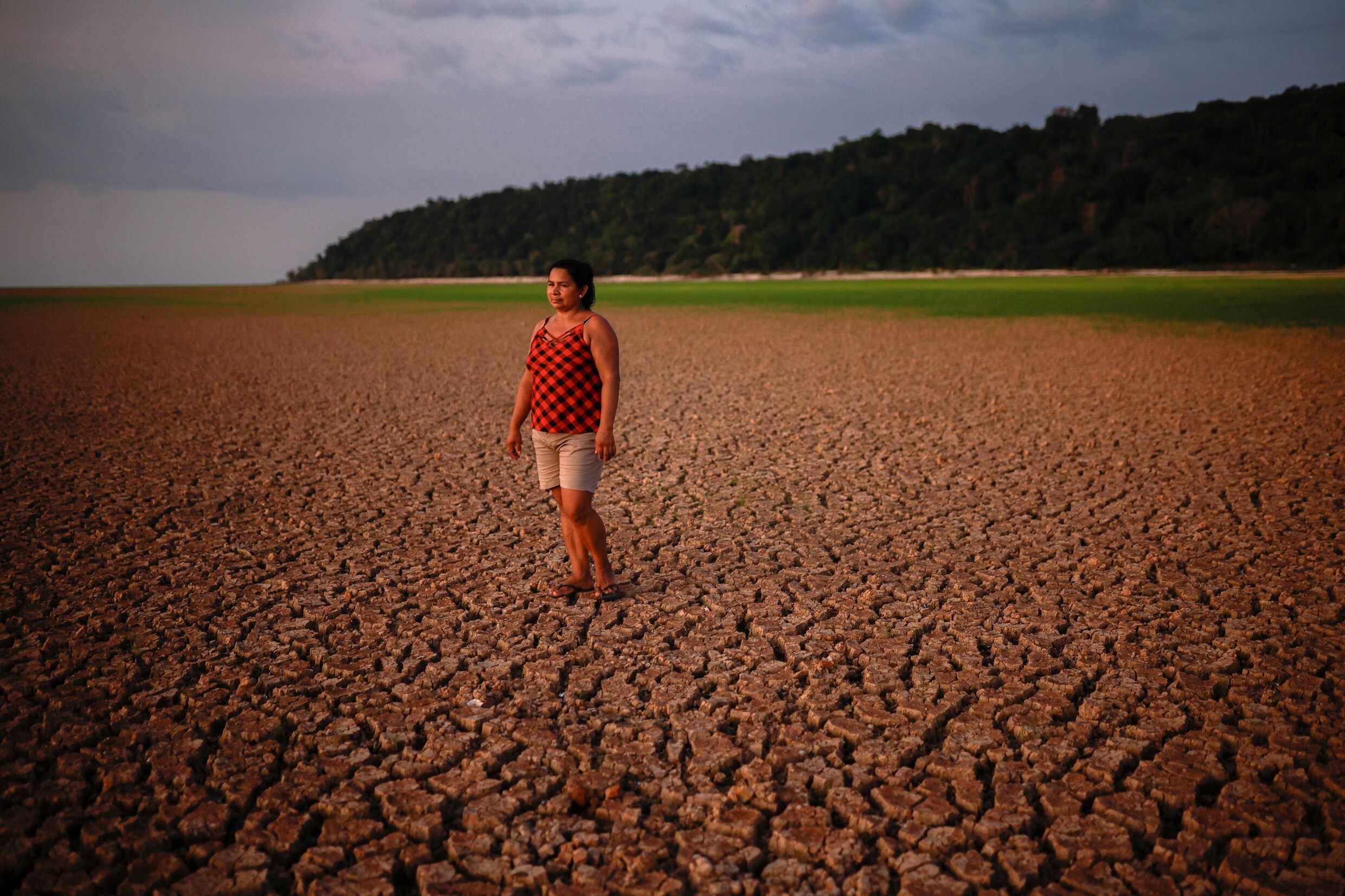 Meer dan de helft van de voedselproductie in de wereld loopt tegen 2050 ...