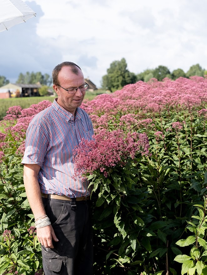 Door het overlijden van de Franse Emmy (11) staan pesticiden op bloemen ...