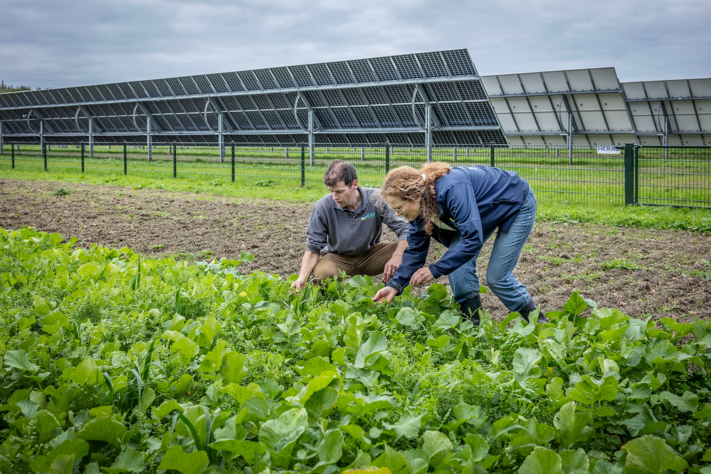 Grootste bioboer moet inkrimpen | Trouw