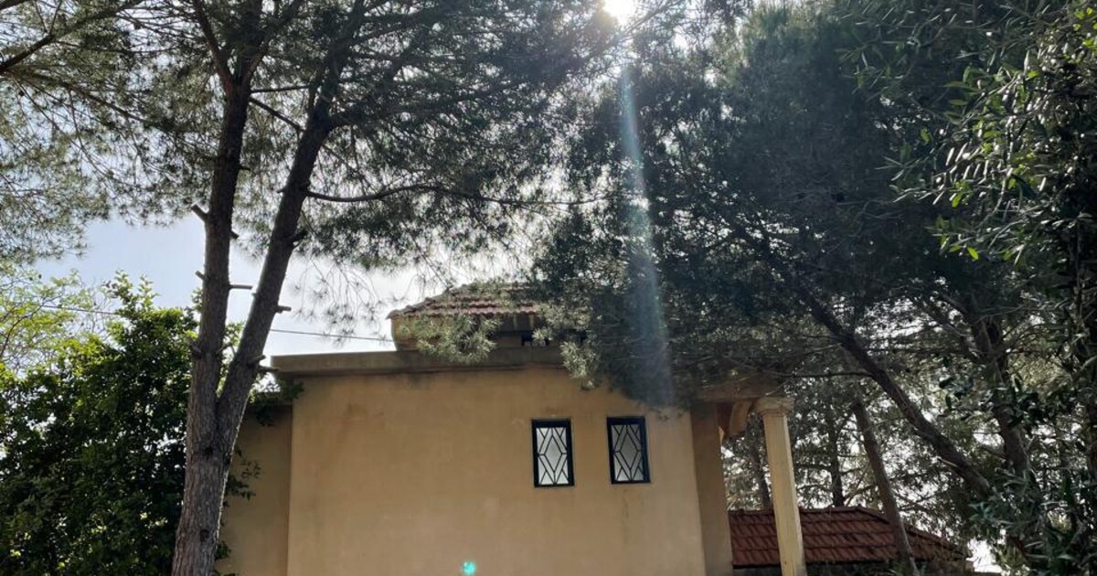 Verwoesting in Zuid-Libanon: ‘We maken ons vooral zorgen over het graf ...