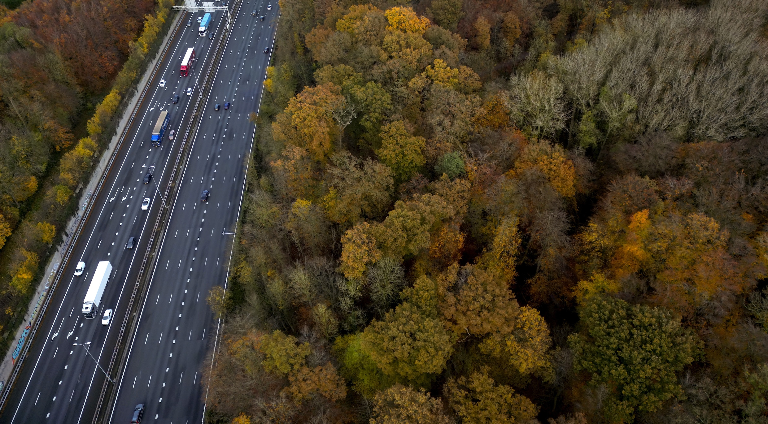 Een snelweg of natuur? Bij Amelisweerd is die twist al bijna een halve ...