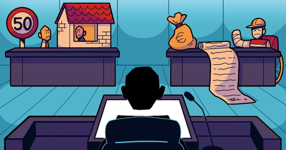 Twee of dertien katten? Een juridisch gevecht over huisdieren | Trouw