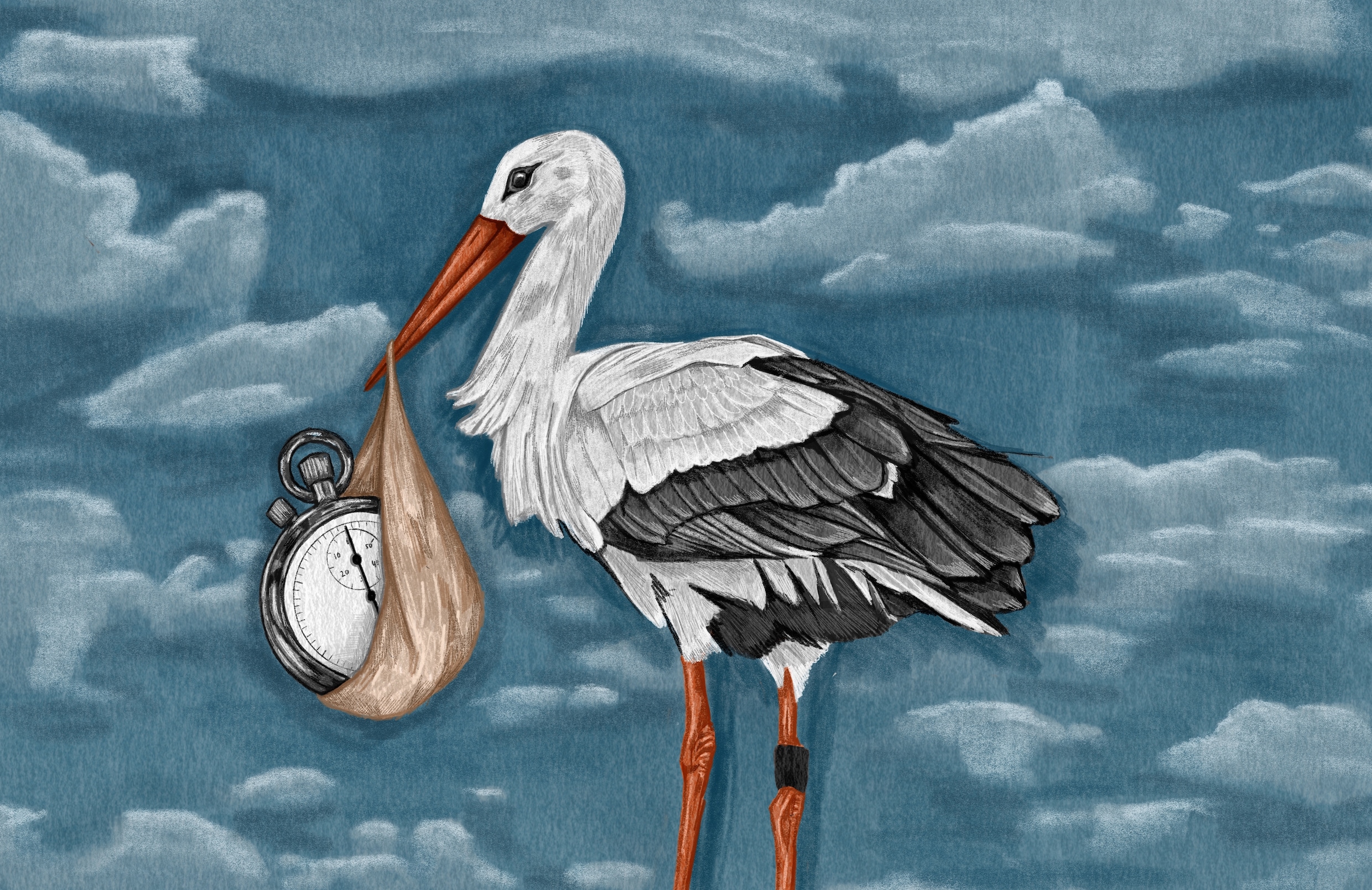 Rosa Snijders maakt de tekeningen bij ‘De Zinzoeker’: ‘Het zijn puzzels ...