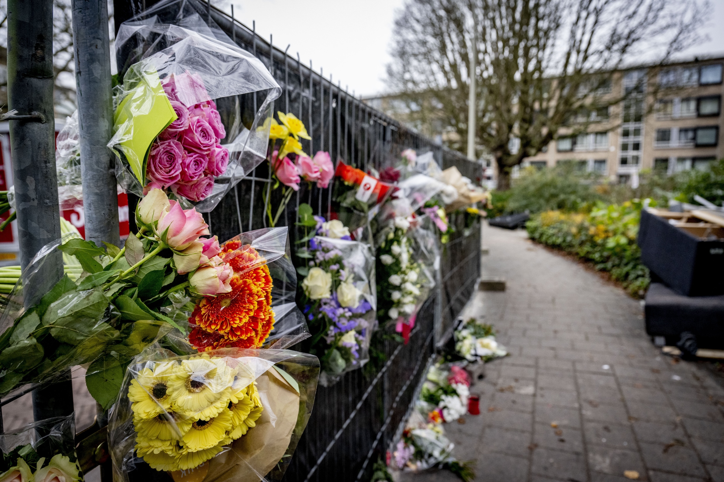 Live explosie Den Haag: 37 aangiften na dodelijke explosie Tarwekamp ...