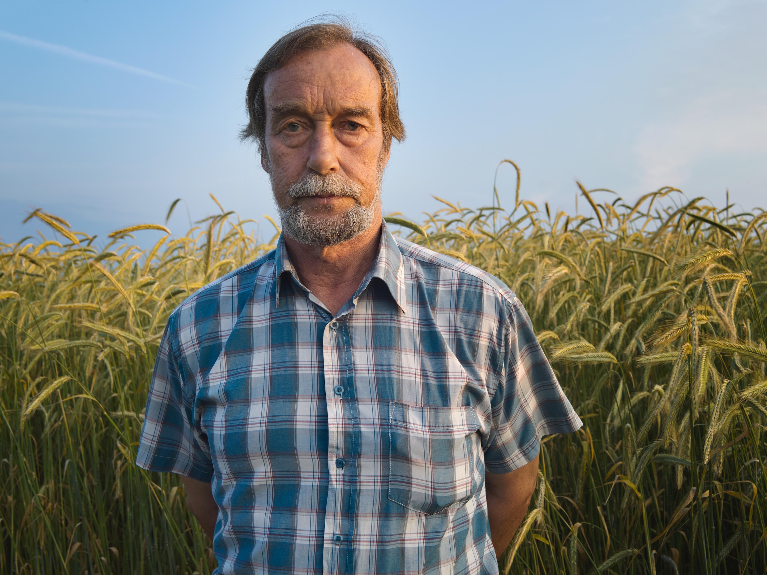 Deze Groningse boer verbouwt biologische, oude graanrassen. ‘Je regeert ...