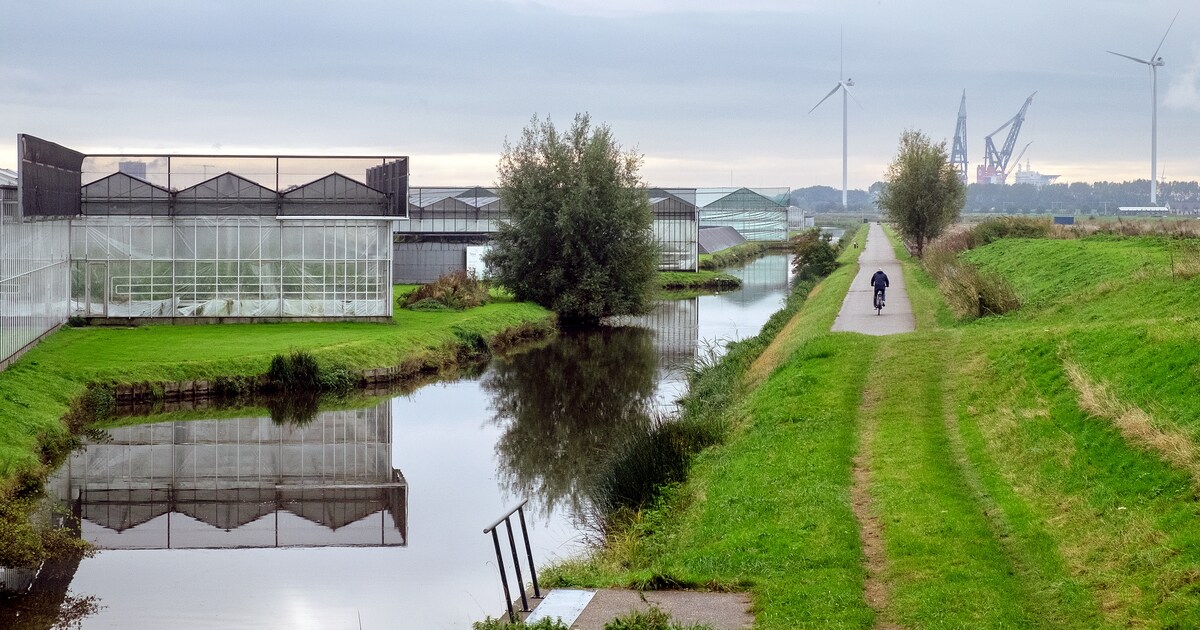 Zorgen over lekkages in de kassen: telers weten vaak niet dat ze het ...