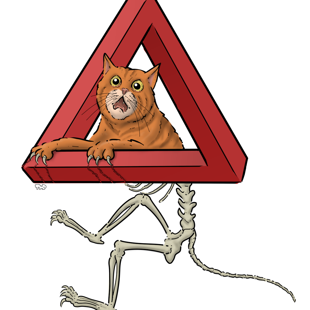 Wetenschap Kat Meme Natuurkunde Hond Vs Kat: Wat Is Het Leukste