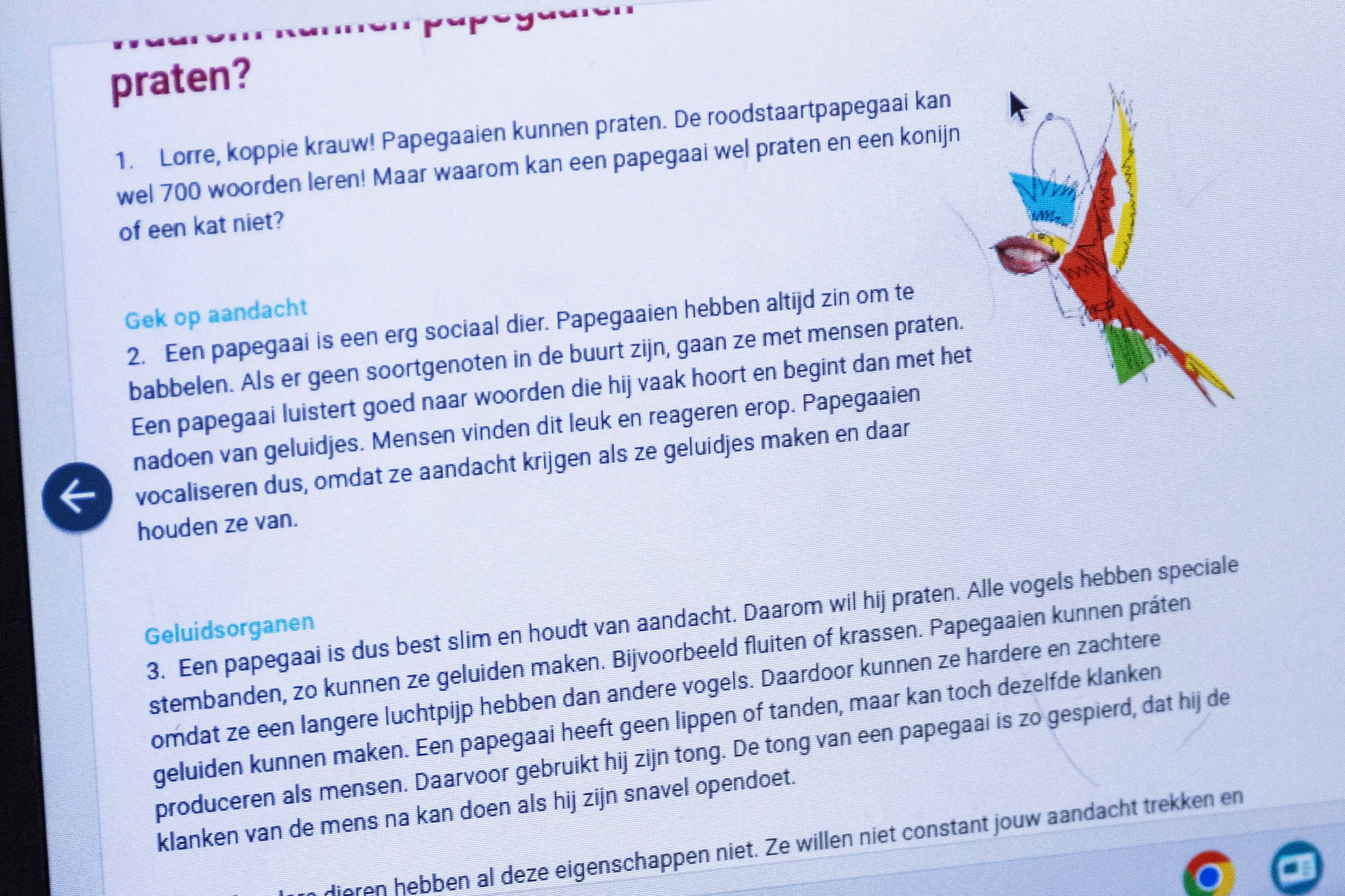 Liever een kleurrijke eindtoets op papier dan een saaie op de computer ...