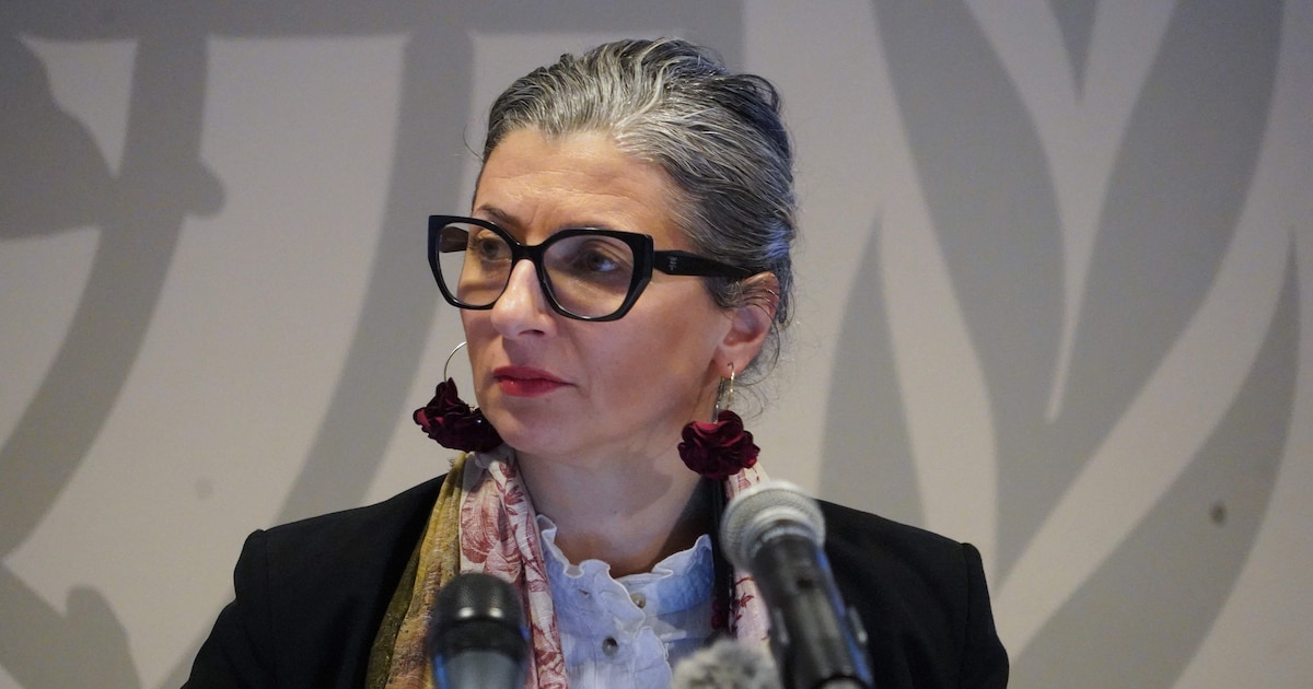 VN-rapporteur Palestijnen toch niet welkom in Tweede Kamer | Trouw