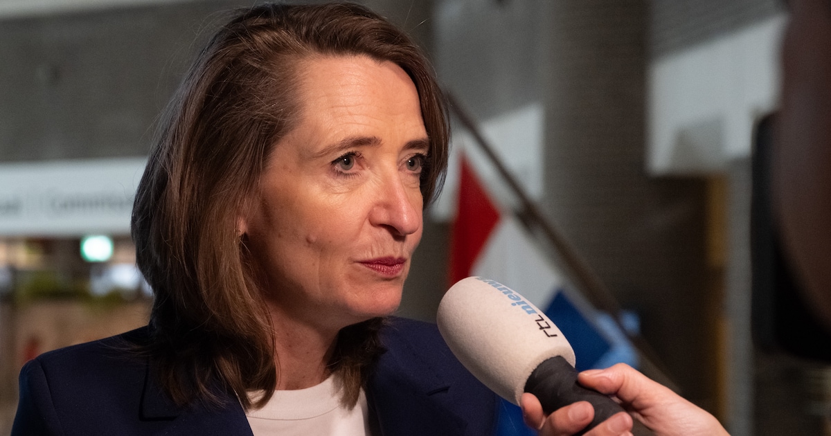 Frederieke Leeflang, de NPO-baas die werkklimaat wilde verbeteren, moet ...