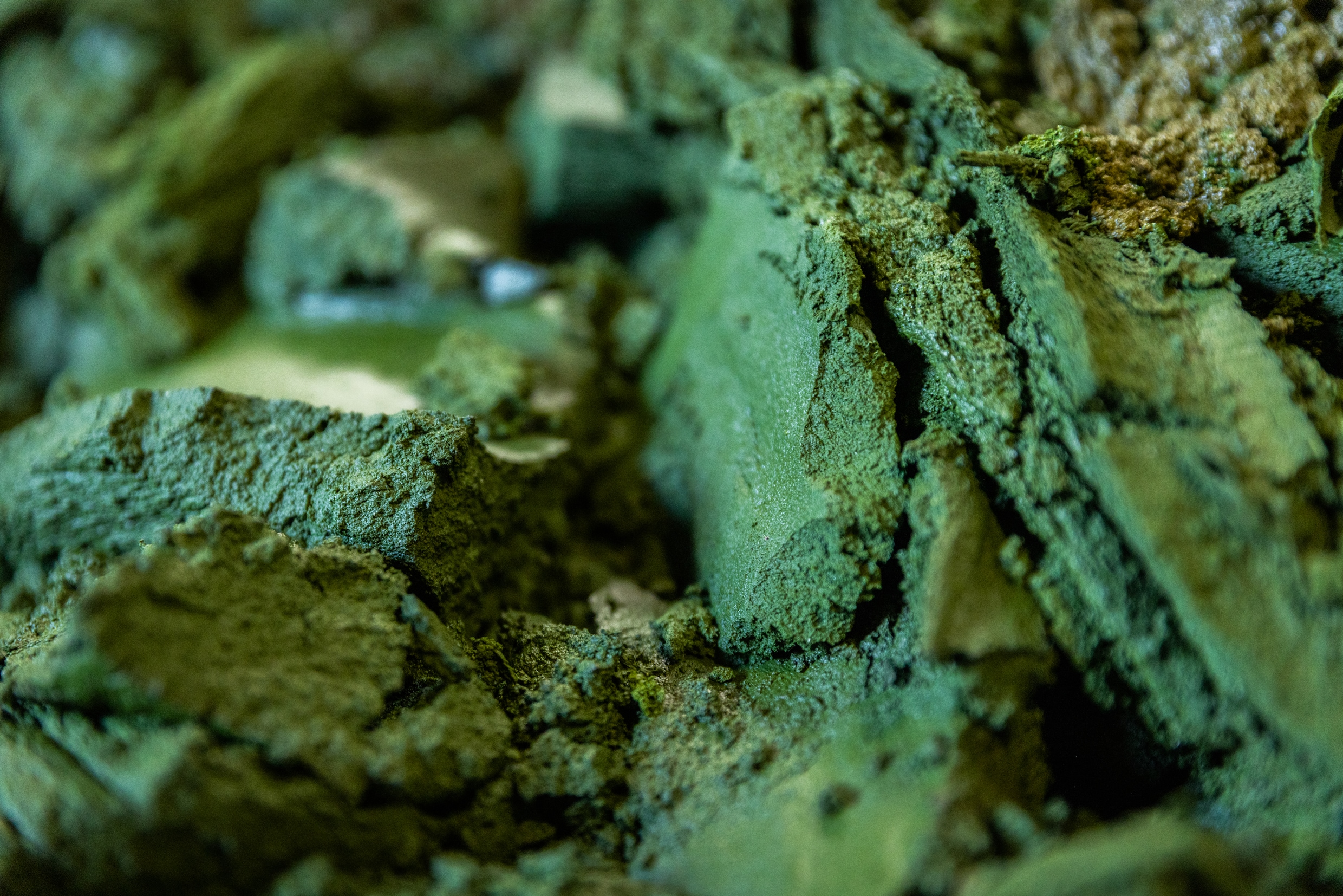 Wat als we voor de koe overbodige eiwitten uit het gras persen en die ...