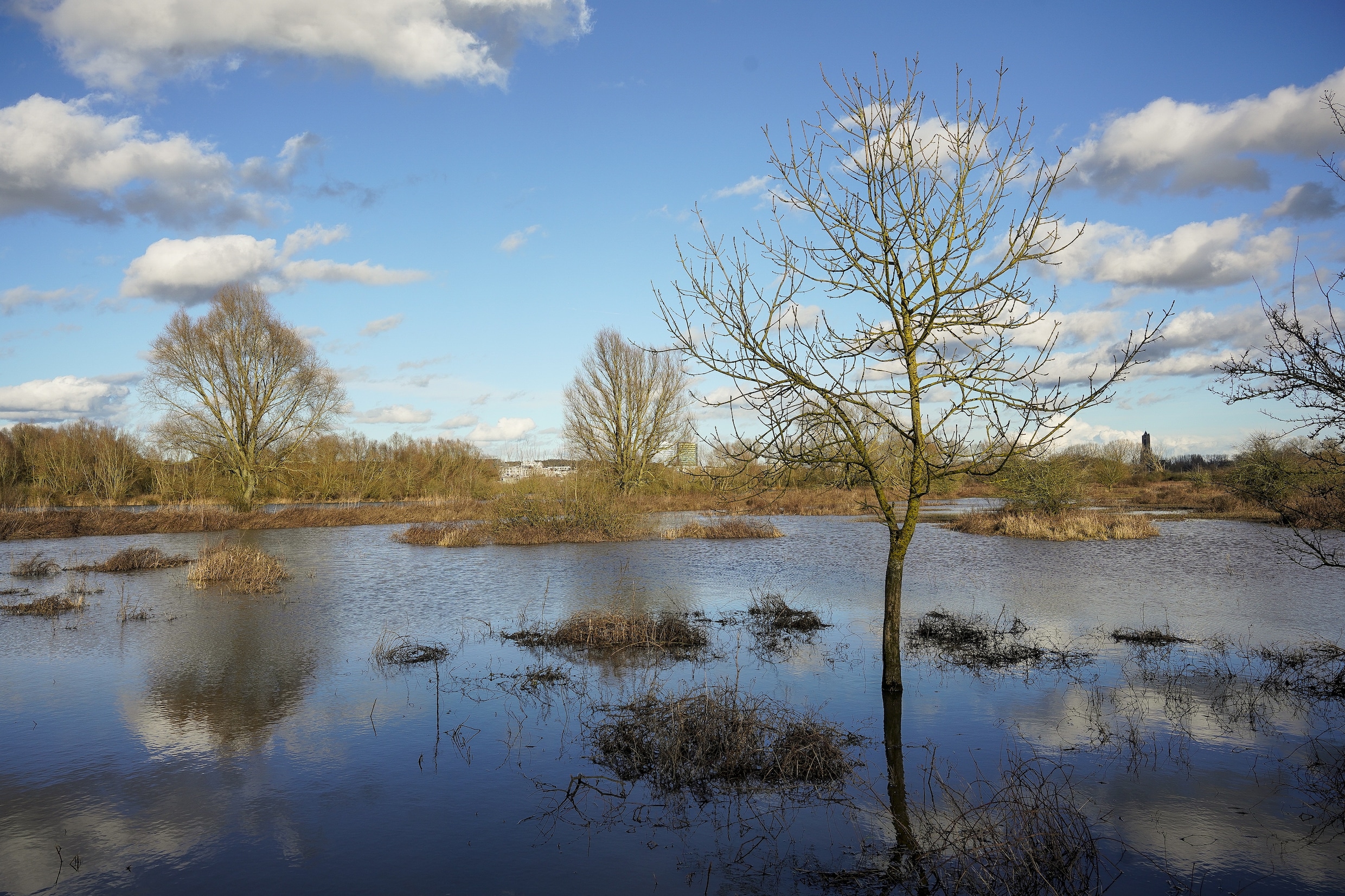 Nederlandse rivieren krijgen nog meer ruimte | Trouw