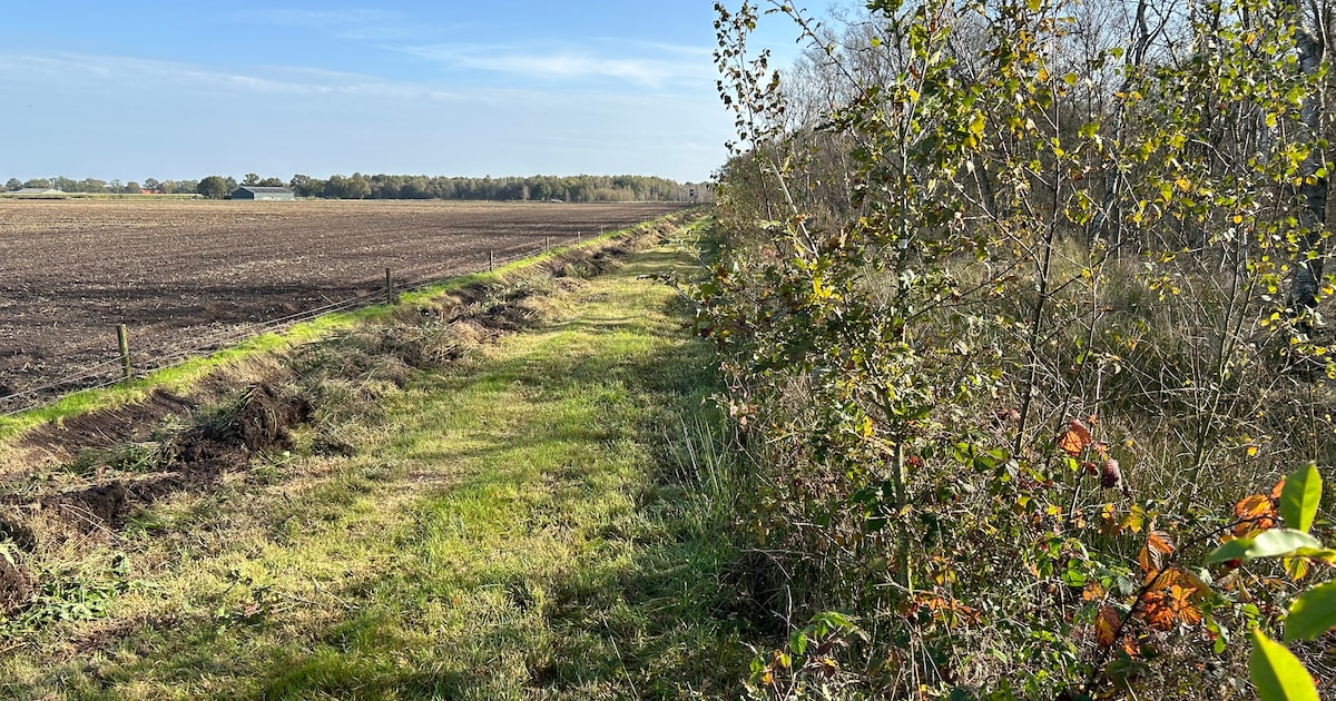 Gifspuit voor aardappelen en uien vervuilt natuur in de Peel | Trouw
