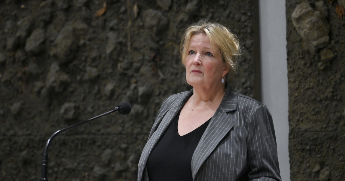 Kamerlid Patijn over de WW-beperking: ‘Werknemers, word wakker voor ...