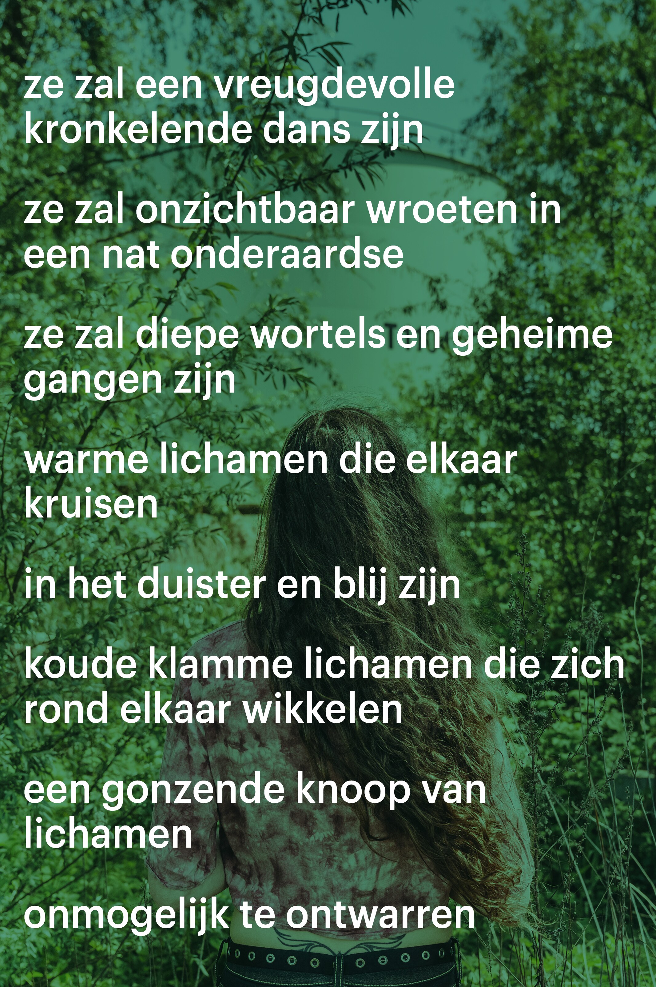 Klimaatmoe? Deze Vlaamse dichter biedt woorden die houvast geven | Trouw