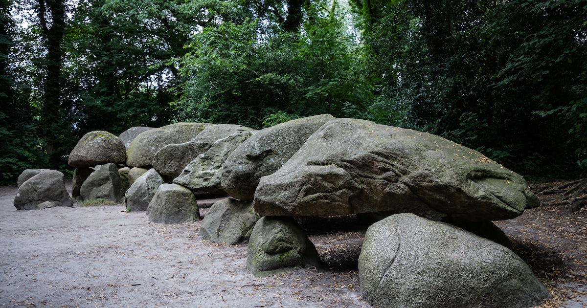 Een Drents hunebed als openluchtkerk voor zinzoekers: ‘Laat het los ...