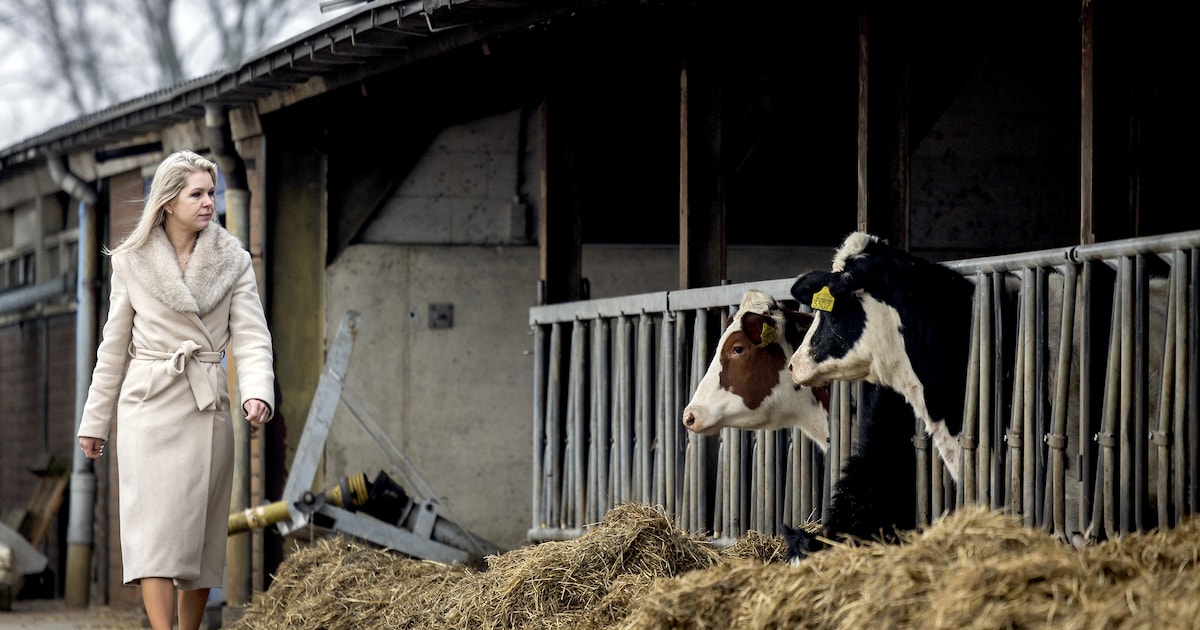 Hogere stikstofnorm is ‘kwetsbaar’, stelt de Raad van State. Maar ...
