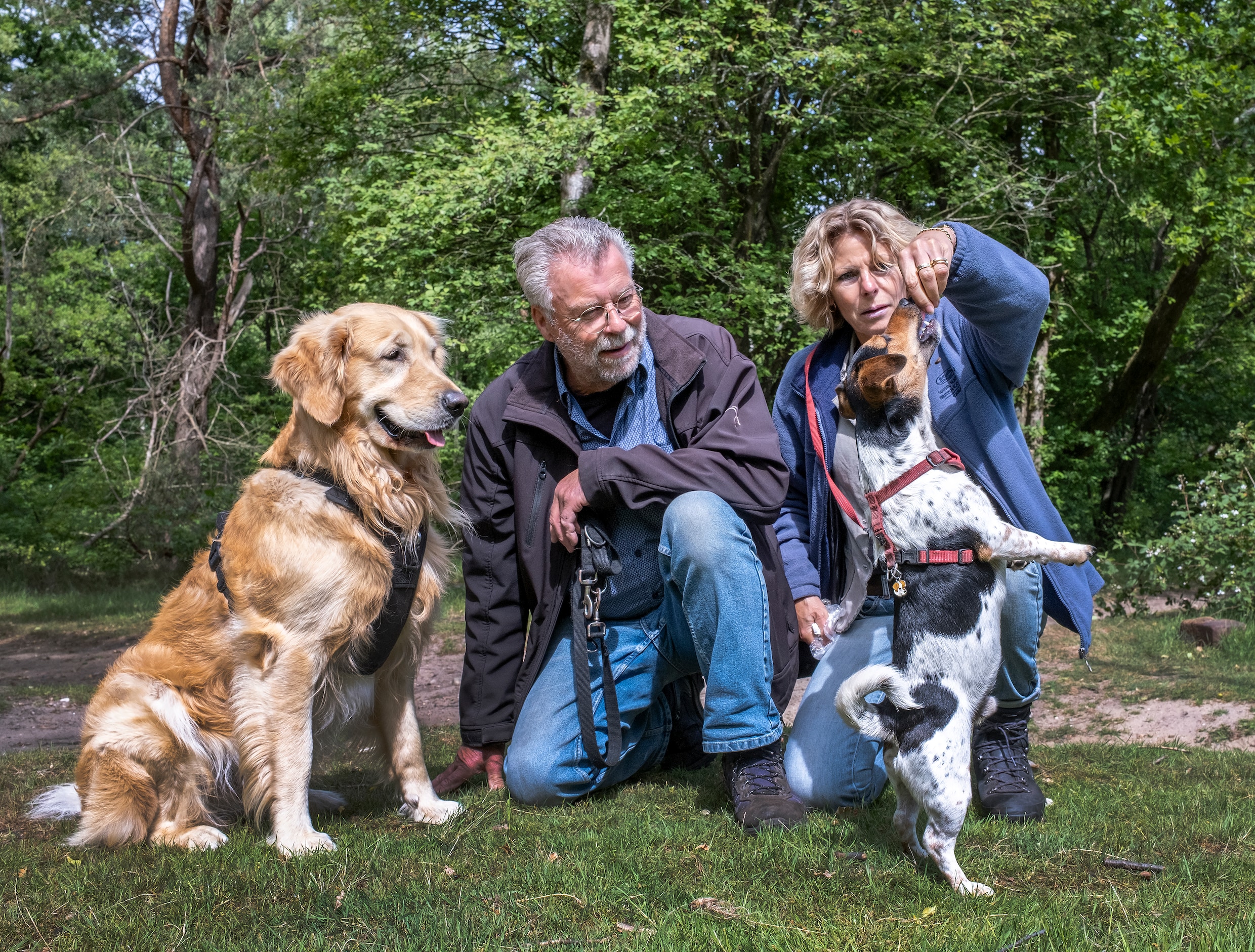 Maak kennis met modehondjes van nu: van teckel Camilla (4) tot ...