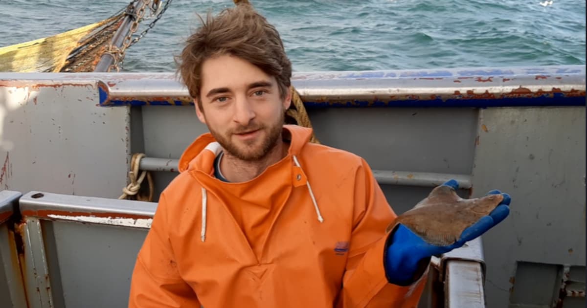Vis eet je met verstand, maar hoe dan? Zeven vuistregels van een marien ...