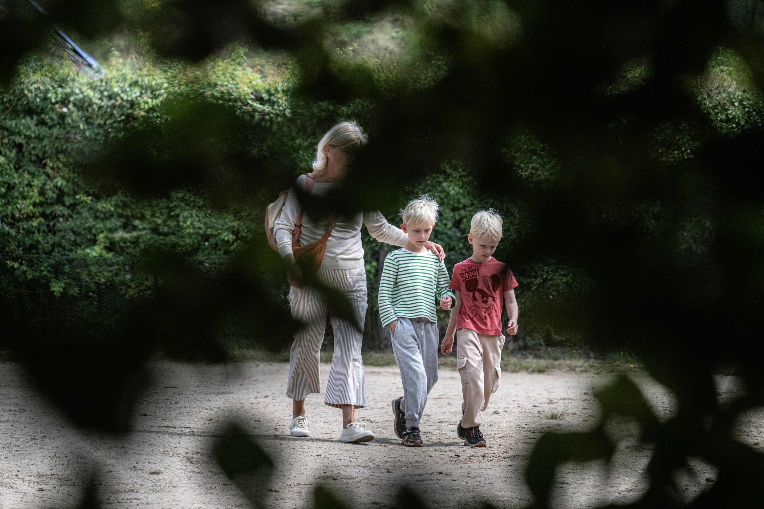 Bezoekers Landgoed Den Treek zijn niet bang voor de wolf, wel boos | Trouw