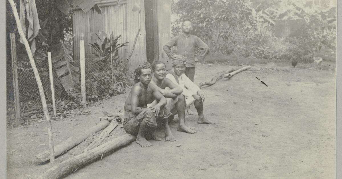 In Sint-Michielsgestel krijgen Javaanse Surinamers een gezicht | Trouw