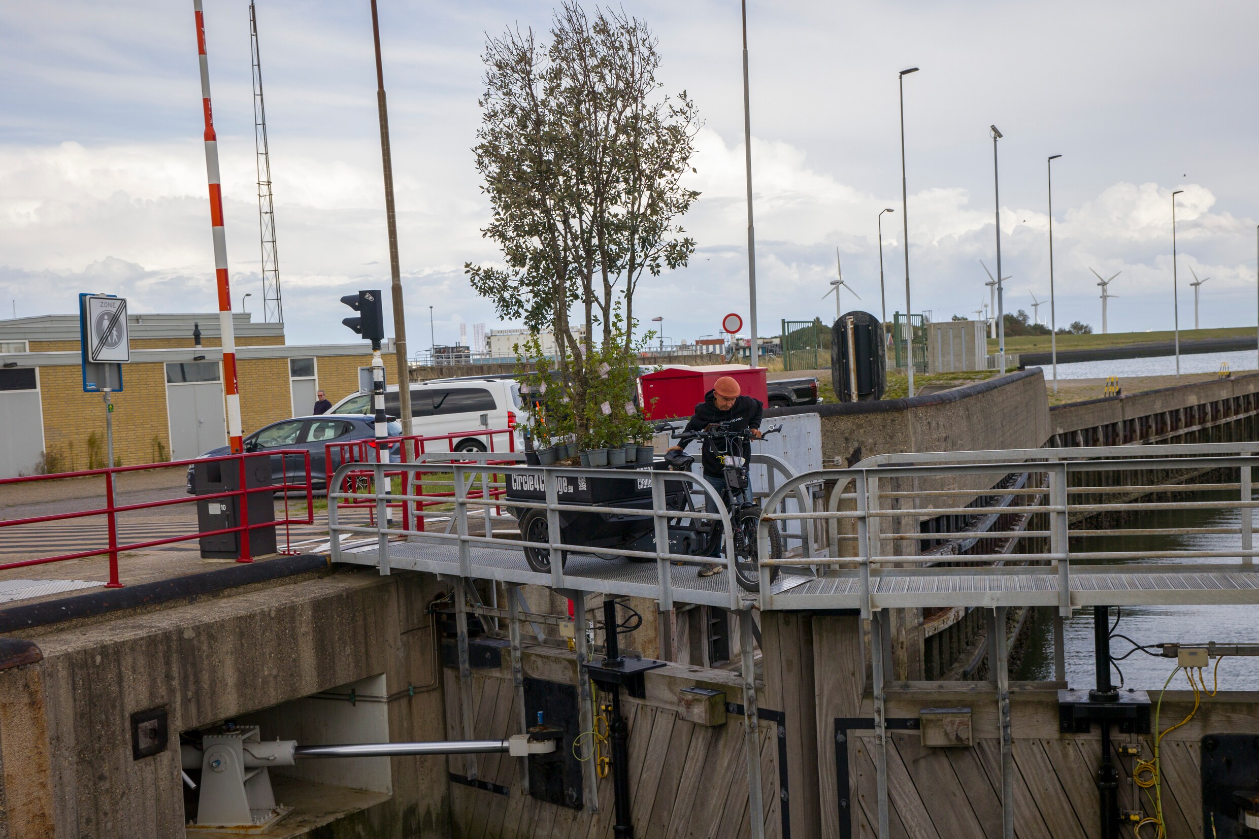 Met een steeneik achterop de fiets kust kunstenaar Bruno Doedens in ...