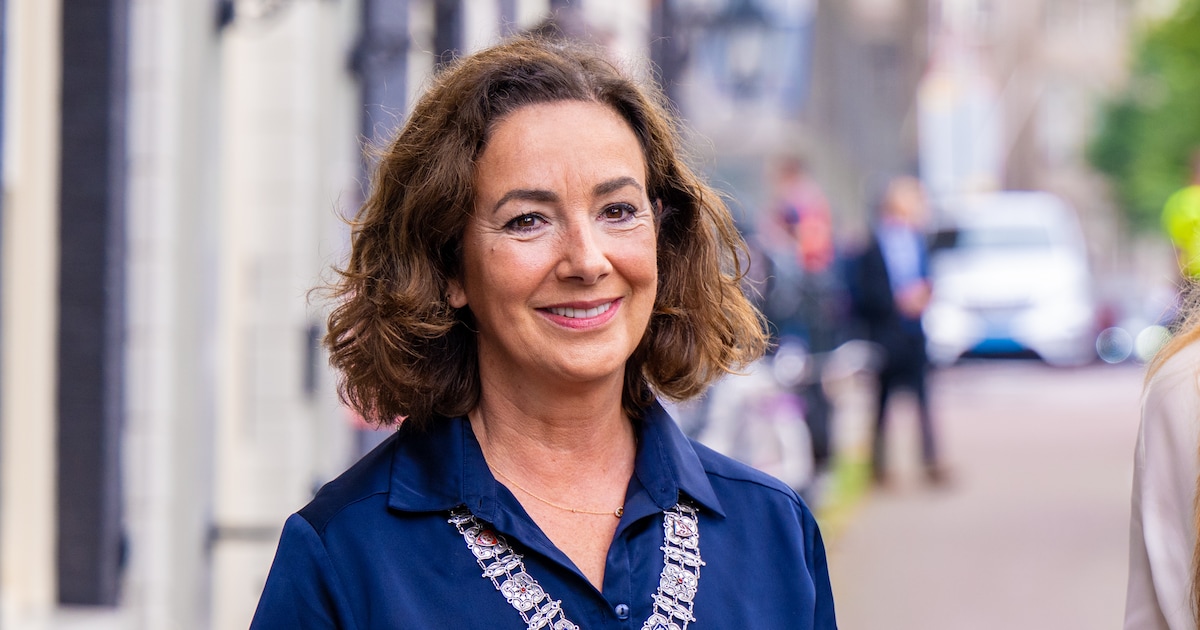 Halsema: Nieuw kabinet moet opkomen voor lokaal bestuur | Trouw