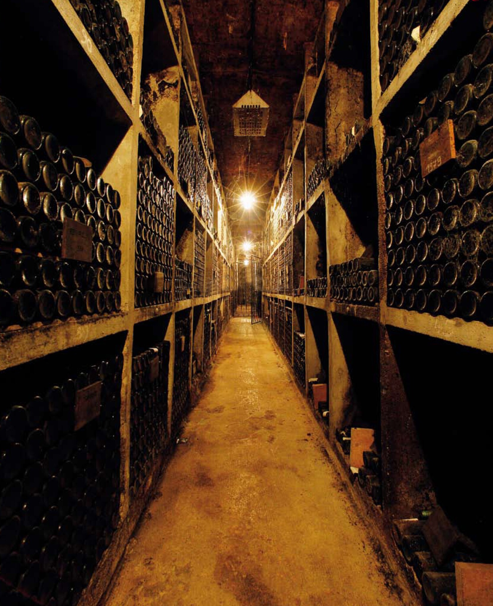 Wit, mousserend, ecologisch? In Slovenië kun je niet om de wijn heen ...