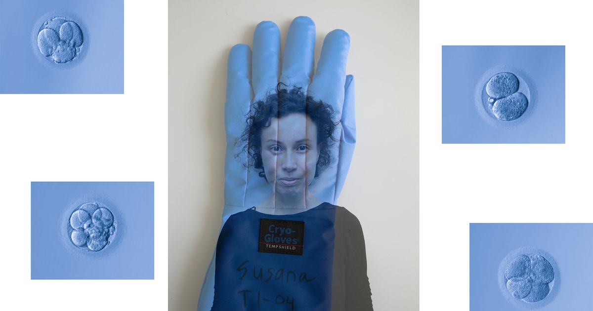 Embryomodellen en eicellen uit het lab: deze ontwikkelingsbioloog ...