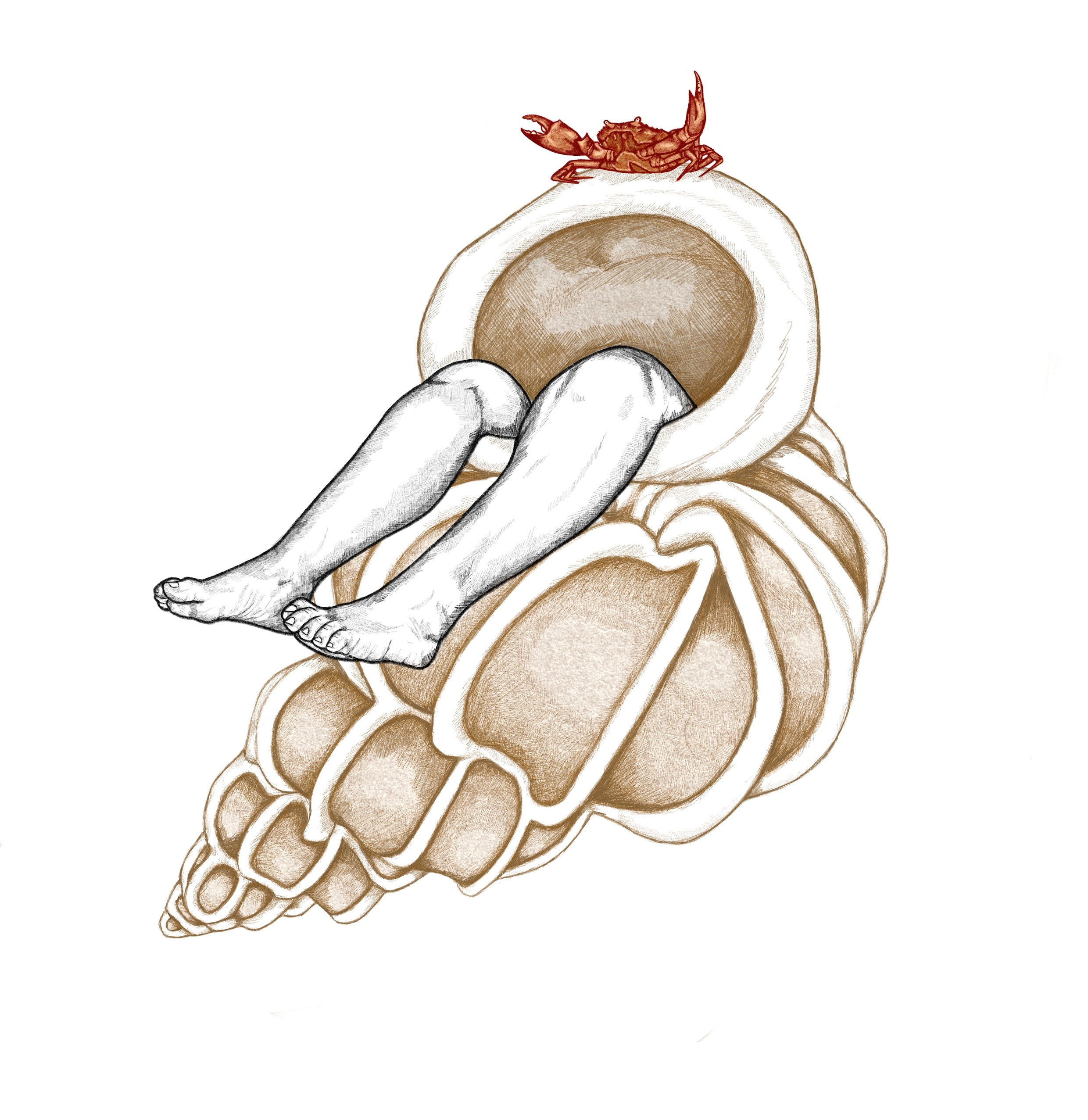 Rosa Snijders maakt de tekeningen bij ‘De Zinzoeker’: ‘Het zijn puzzels ...